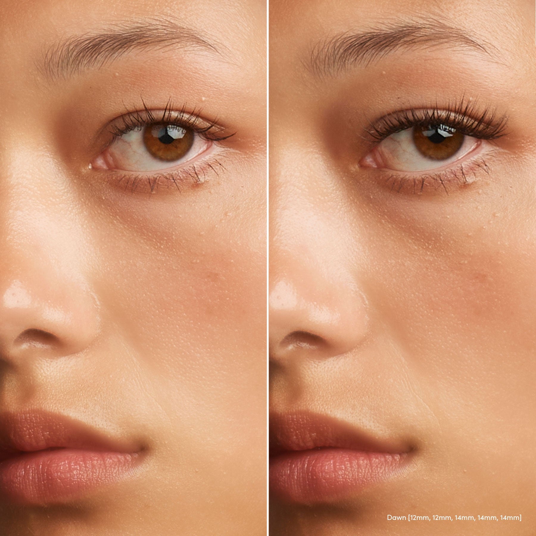 Dawn | DIY Eyelash Extensions | Lilac St.