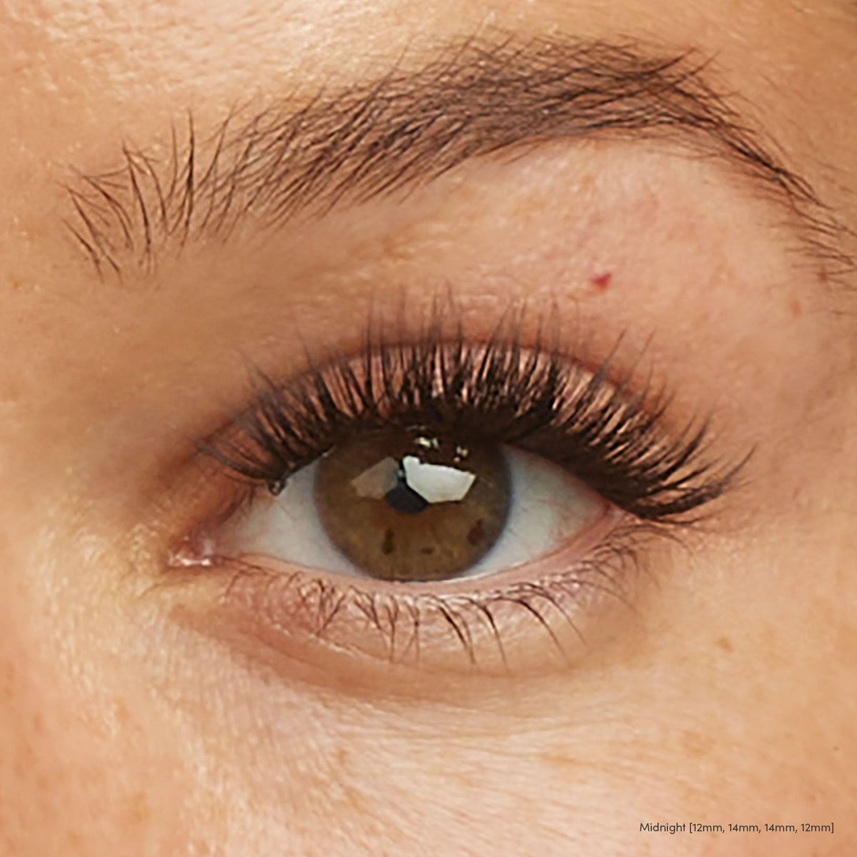 Midnight Lashes | Lilac St.