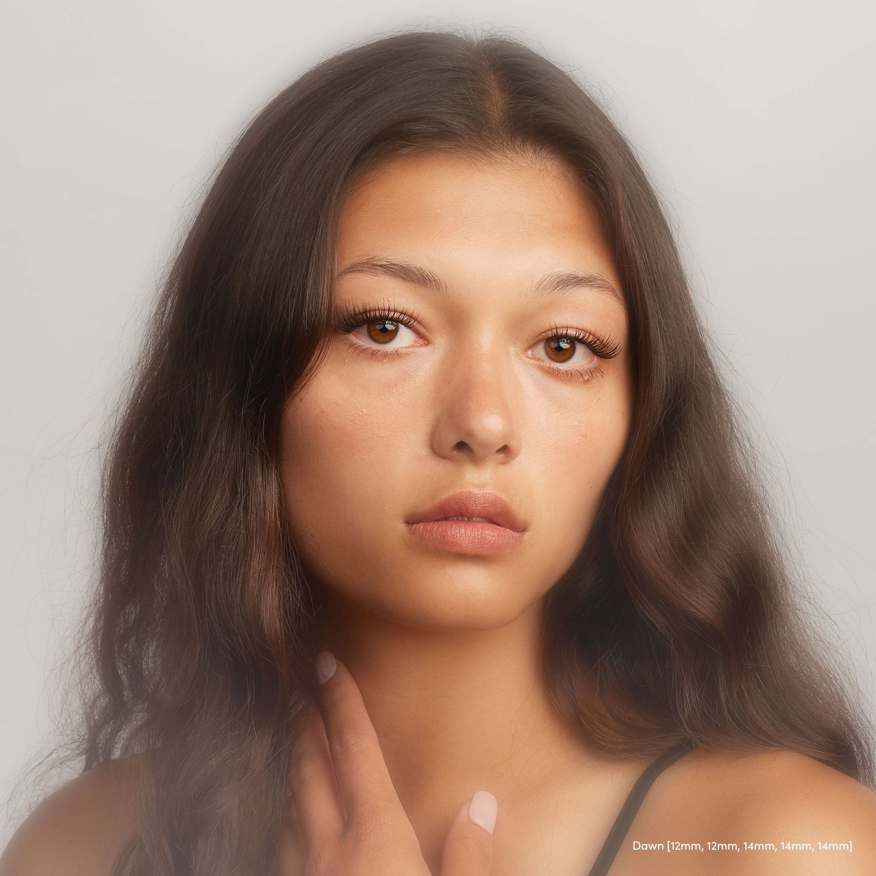 Dawn | DIY Eyelash Extensions | Lilac St.