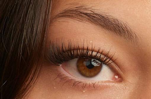 Unleash Your Inner Feline: Cat Eye Lash Extensions | Lilac St.