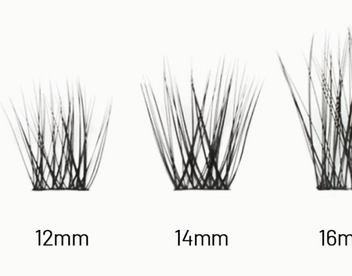 Prism | DIY Eyelash Extensions | Lilac St.