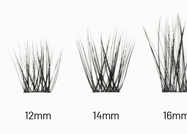 Prism | DIY Eyelash Extensions | Lilac St.