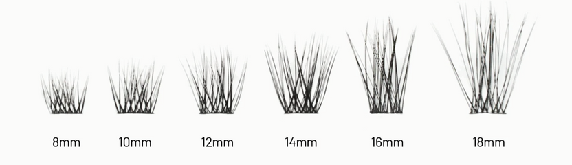 Dawn | DIY Eyelash Extensions | Lilac St.